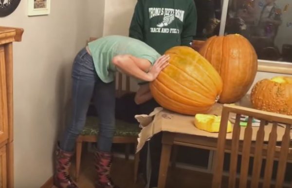 Girl Tries To Prove Her Head Fits In A Pumpkin, Doesn't End Well ...
