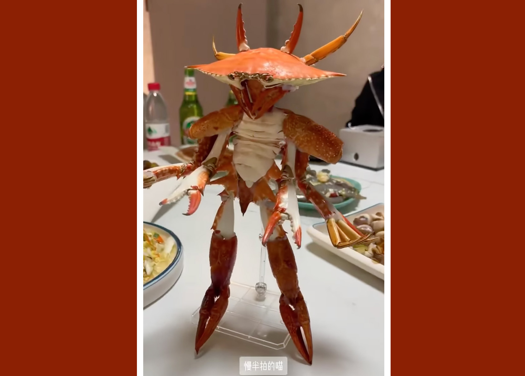 Artist Makes Power Rangers-Style Action Figures Out Of Lobster Shells