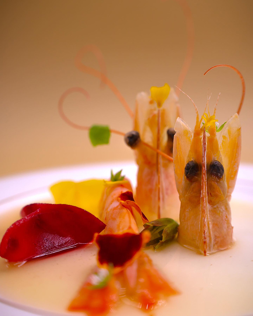 Dogue SF Treats Your Dog To A Fine Dining Experience