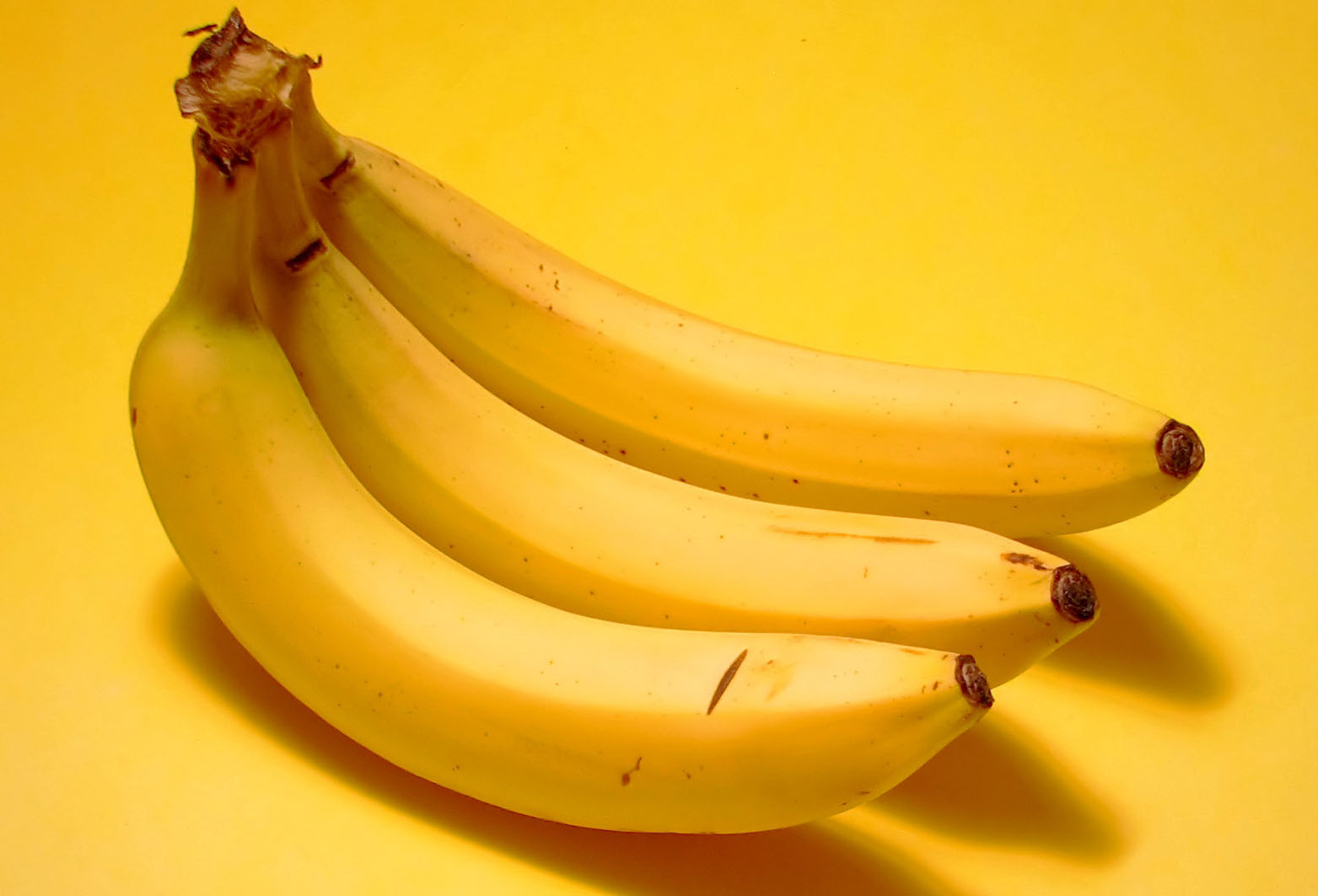 A Harmful Fungi Outbreak Threatens To Make Bananas Extinct