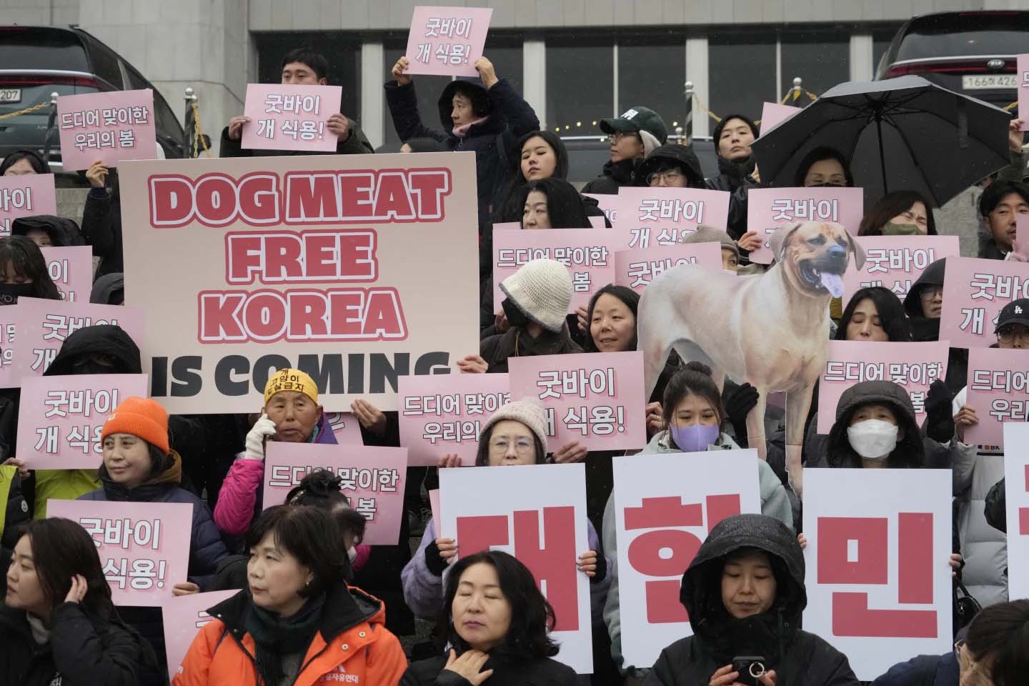 South Korea Passes Historic Bill That Bans Sell Of Dog Meat