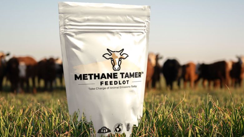 8 Foods That Can Get You Legally High - FoodBeast