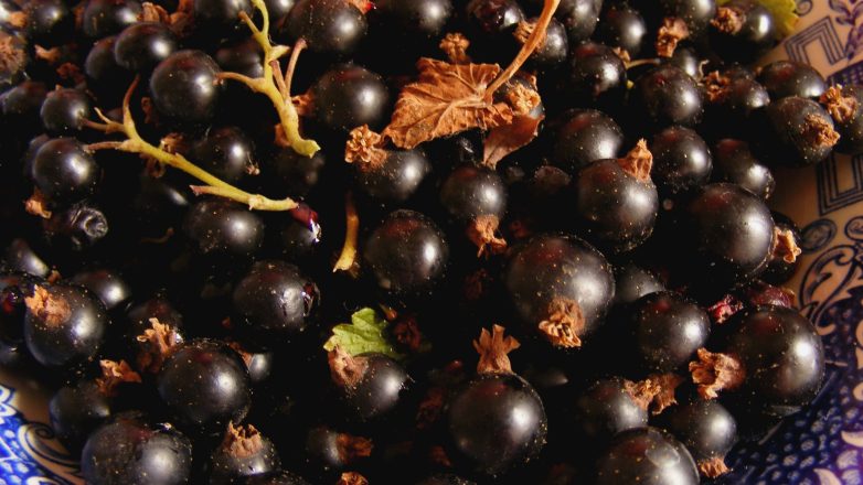 Feeding A Digital Tony Soprano Gabagool Is The Tamagotchi We Didn’t ...